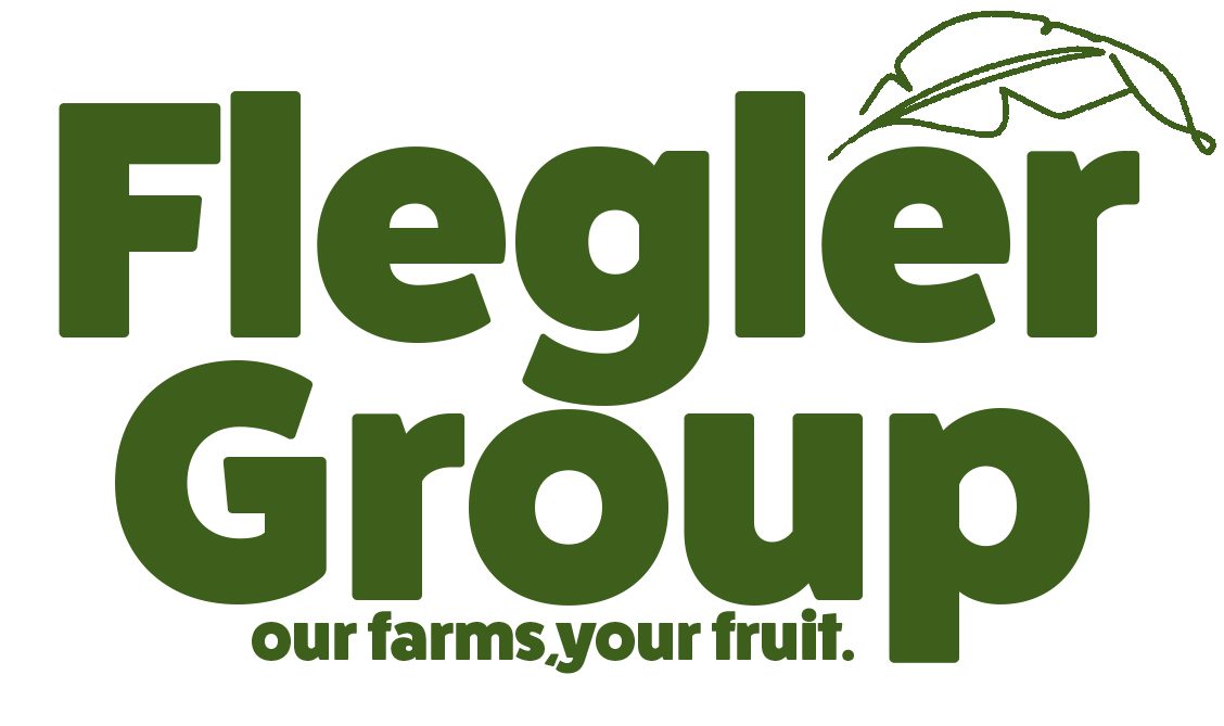 Our Story - Flegler Group Pty Ltd